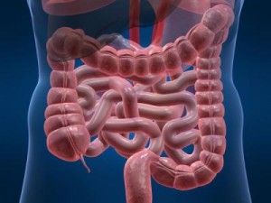 Colitis Isquémica: causas, síntomas y tratamiento - Salud al dia